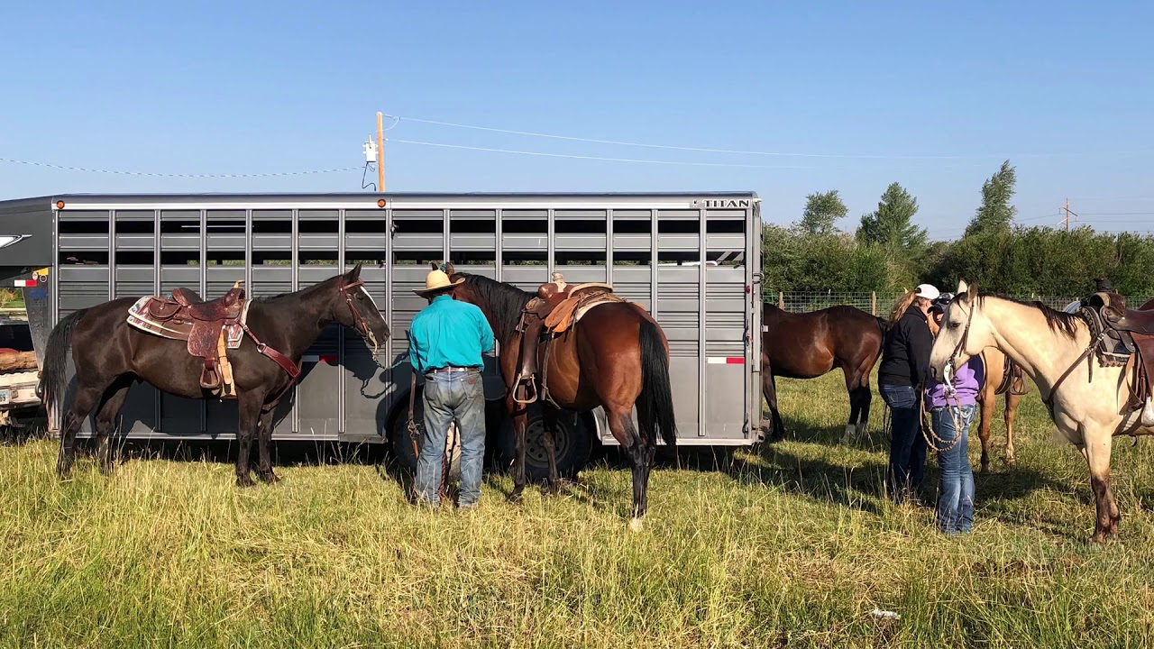 A day on the Lupher Ranch - YouTube