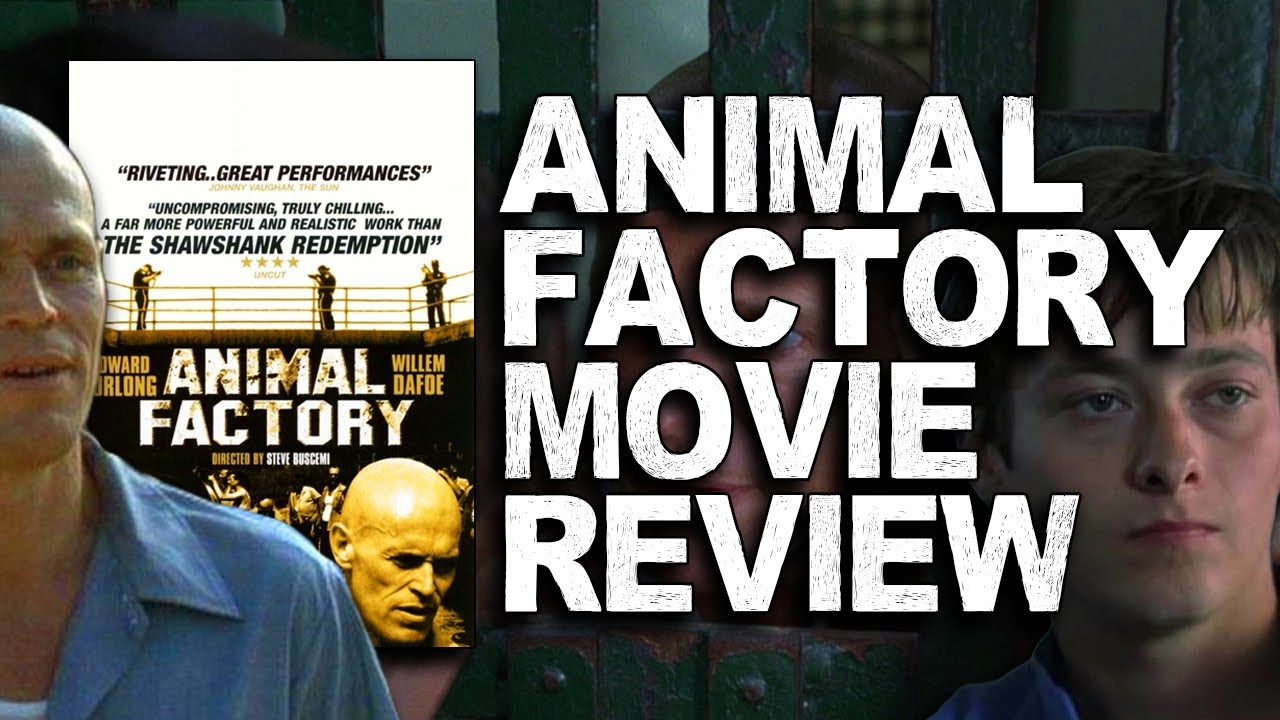 Animal Factory Is One Of The Most Rewatchable Prison Films Of The Past ...