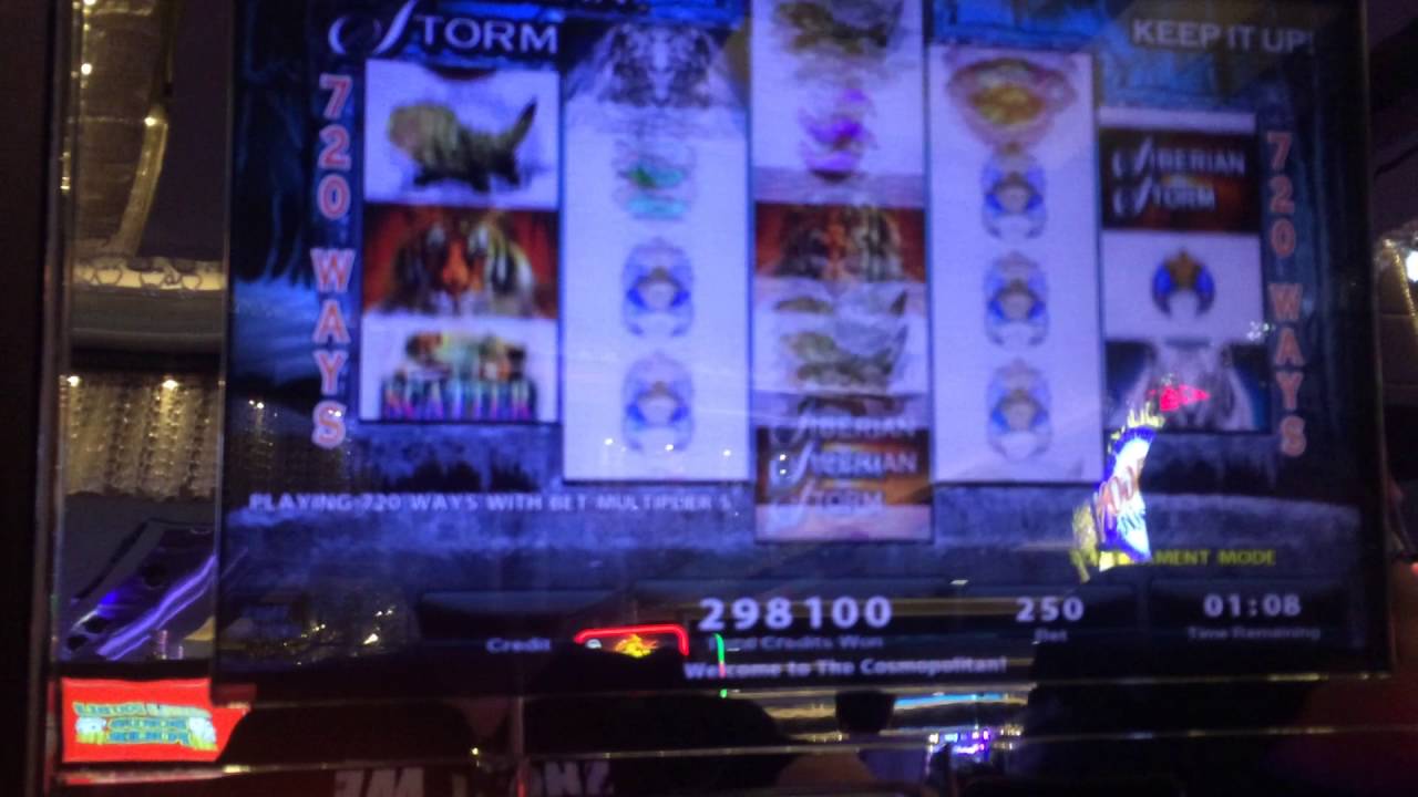 Playing Siberian Storm Slot Machine During The Cosmopolitan Slot ...