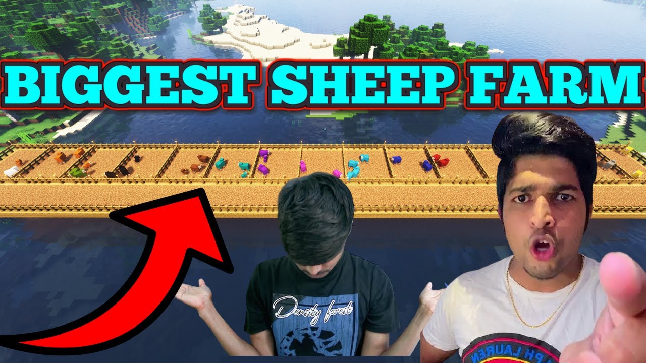 BIGGEST SHEEP FARM IN INDIA | MINECRAFT - YouTube