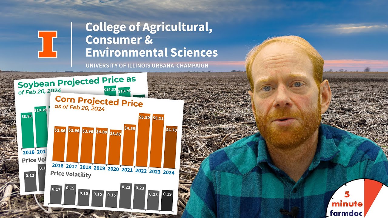 First Look at Crop Insurance Decisions for 2024 - YouTube