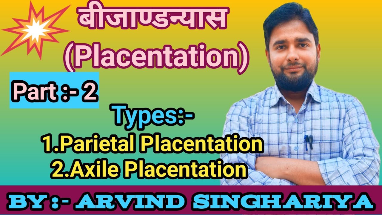 Placentation (Part :- 2). Parietal Placentation (भित्तीय ), Axile ...