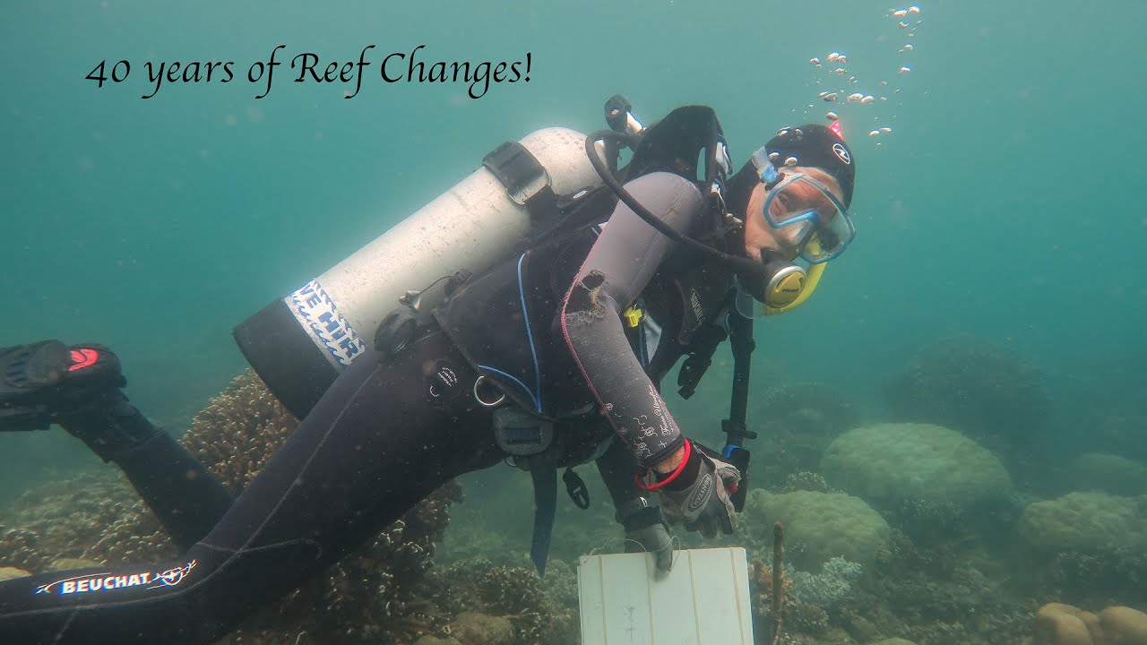 Forty years of changes on an inshore island fringing reef on the Great ...