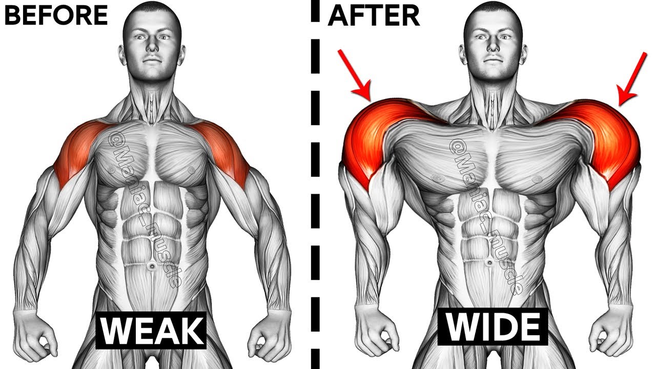 8 PERFECT EXERCISES SHOULDER WORKOUT WITH DUMBBELLS 🎯 – WeightBlink