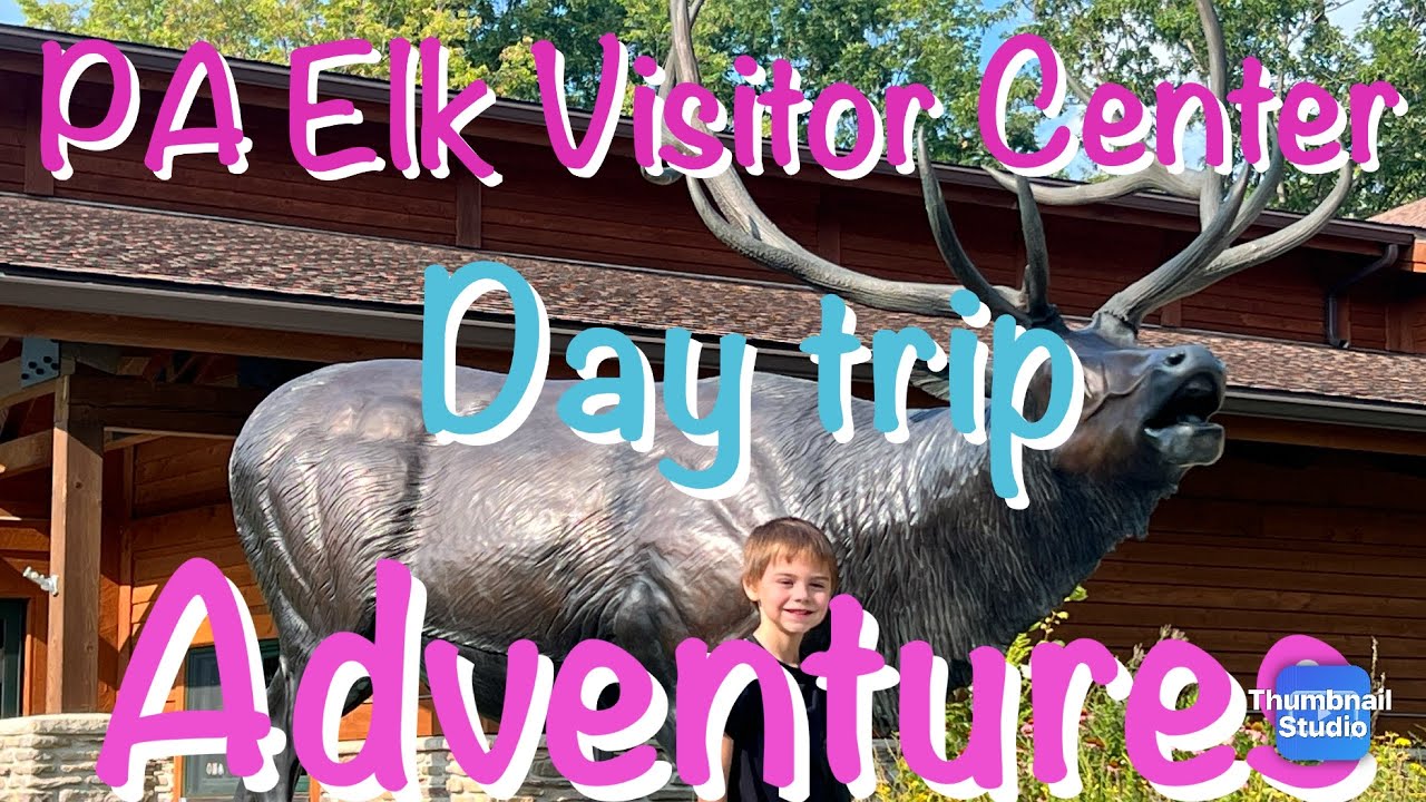 You Won’t Believe What We Saw at the PA Elk Visitor Center! - YouTube