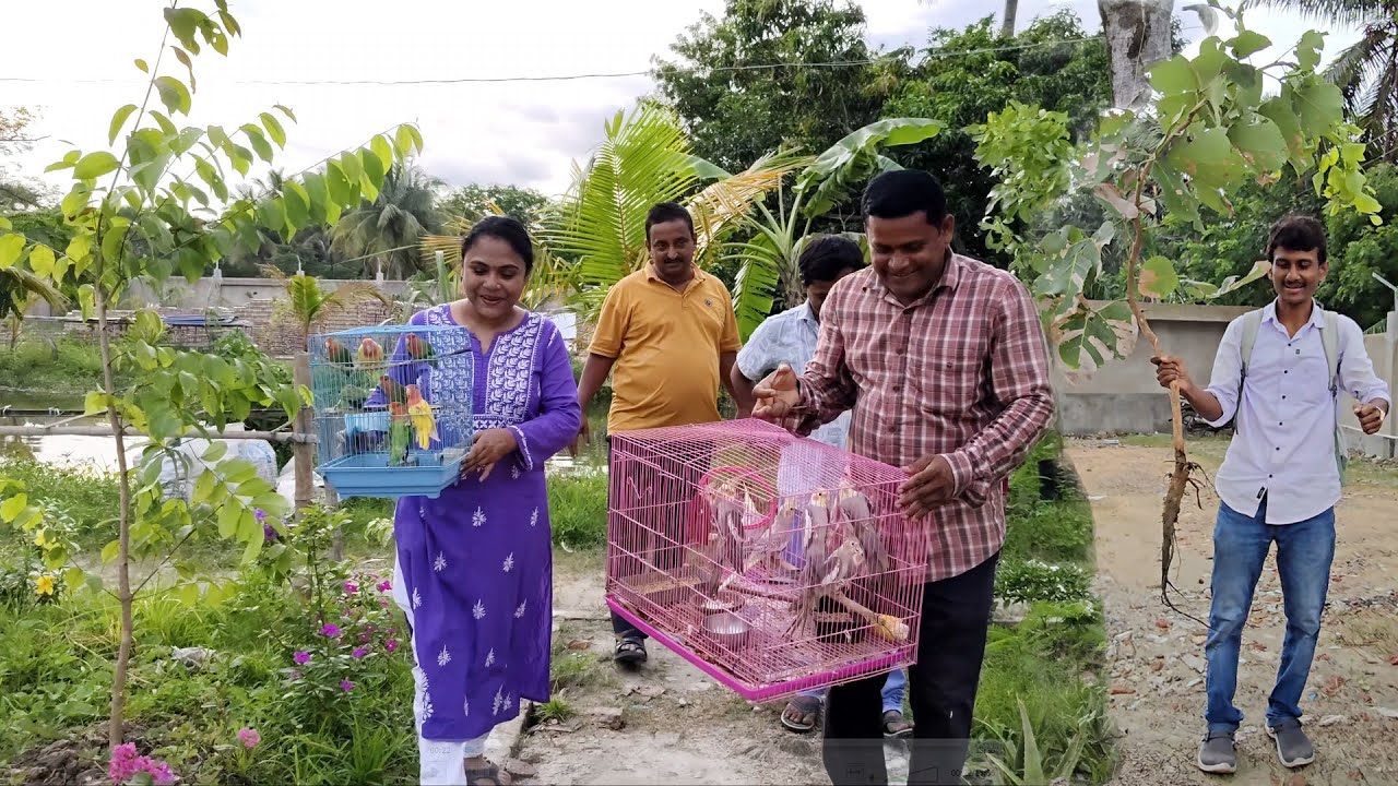New Birds Arrived From Raipur For Parrot Dipankar New Farm. - YouTube