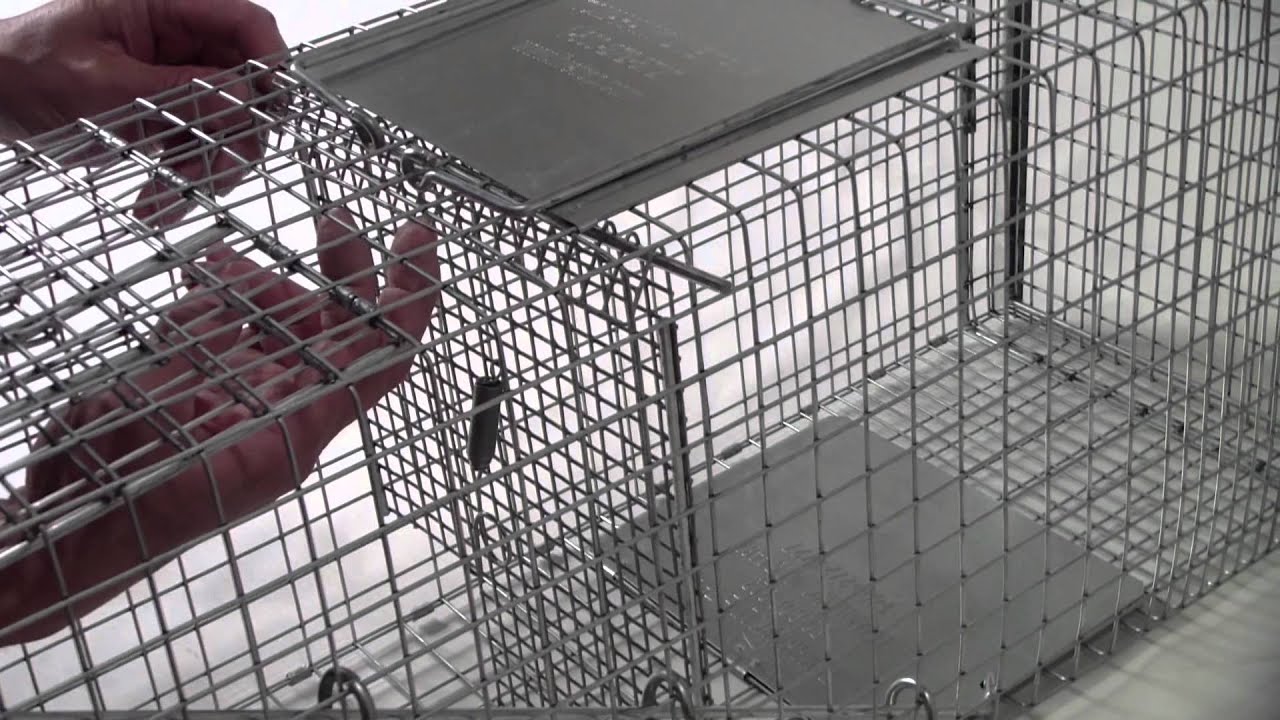 Tomahawk Live Trap - Kitten Screen Instructions - YouTube