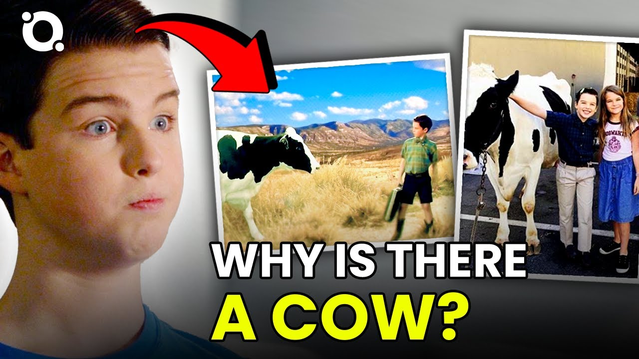 Young Sheldon: 15 Facts You Didn't Know About the Series |⭐ OSSA - YouTube