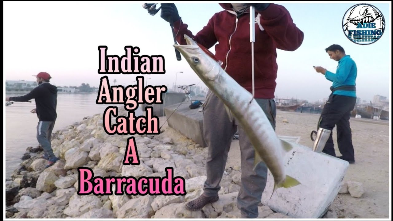 #Indianangler #helping #barracuda | shore casting ||The Indian Angler ...