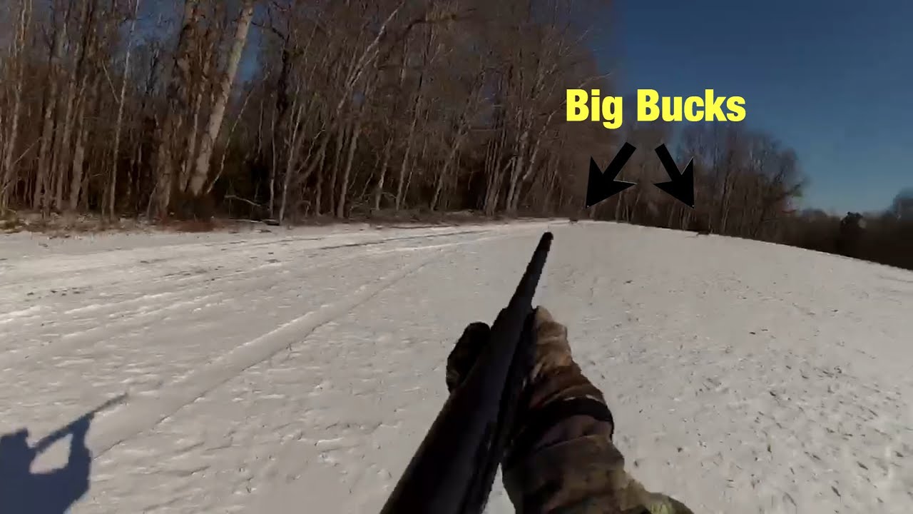 !!3 Big Bucks 1 Drive!!! Deer Drives 2017 - YouTube
