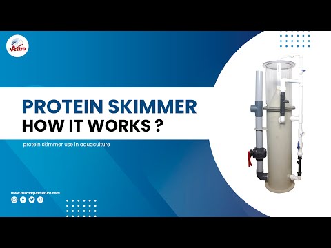 Protein Skimmer How it works? - YouTube