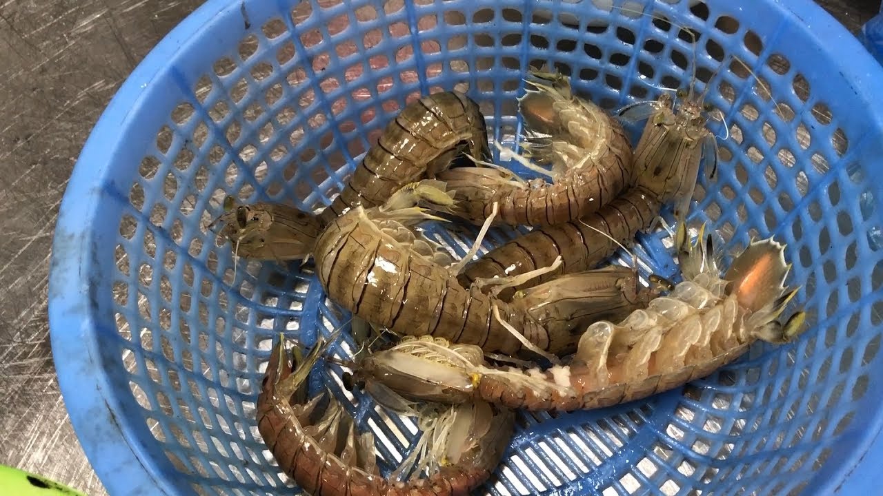 Vietnam ALIEN MANTIS SHRIMP cooking - Seafood street food in Vietnam ...