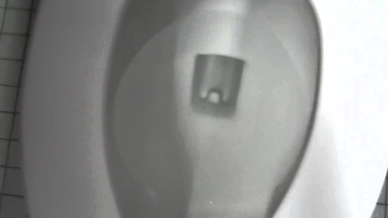 3801: Comfort Height Early-Mid 2000's Eljer Signature Floor Mounted ...