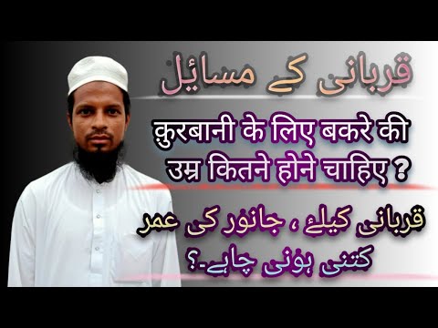 Qurbaani ke jaanwer ki Umar kitni honi Chahiye