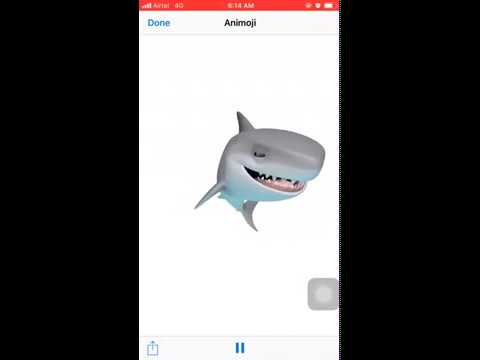 Shark 🦈 Animoji iPhone X 2019 #Apple #iPhone #X - YouTube