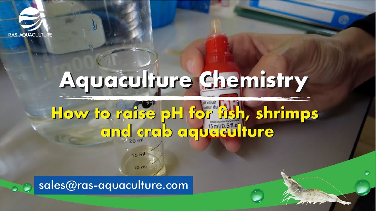 Aquaculture Chemistry Series | How to Raise pH for Fish, Shrimps and ...