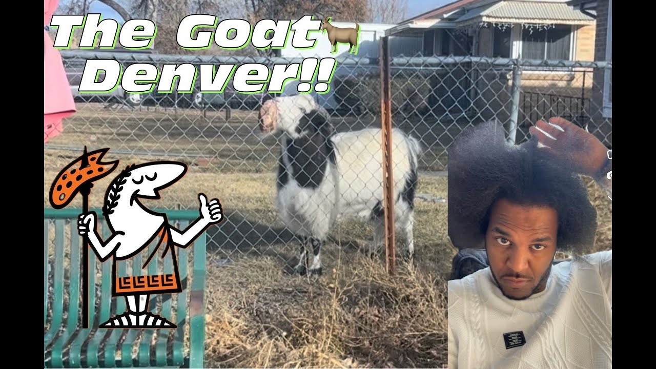 THE GOAT OF DENVER COLORADO!! - YouTube