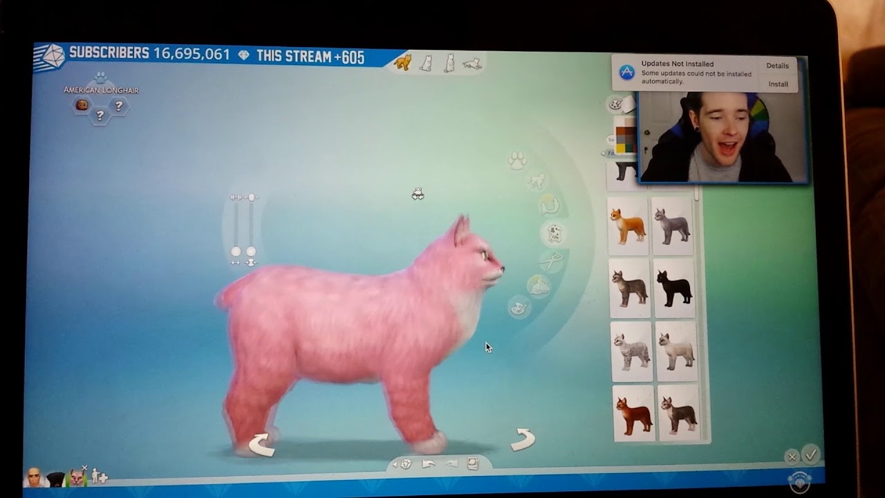 Dantdm live cats and dogs - YouTube