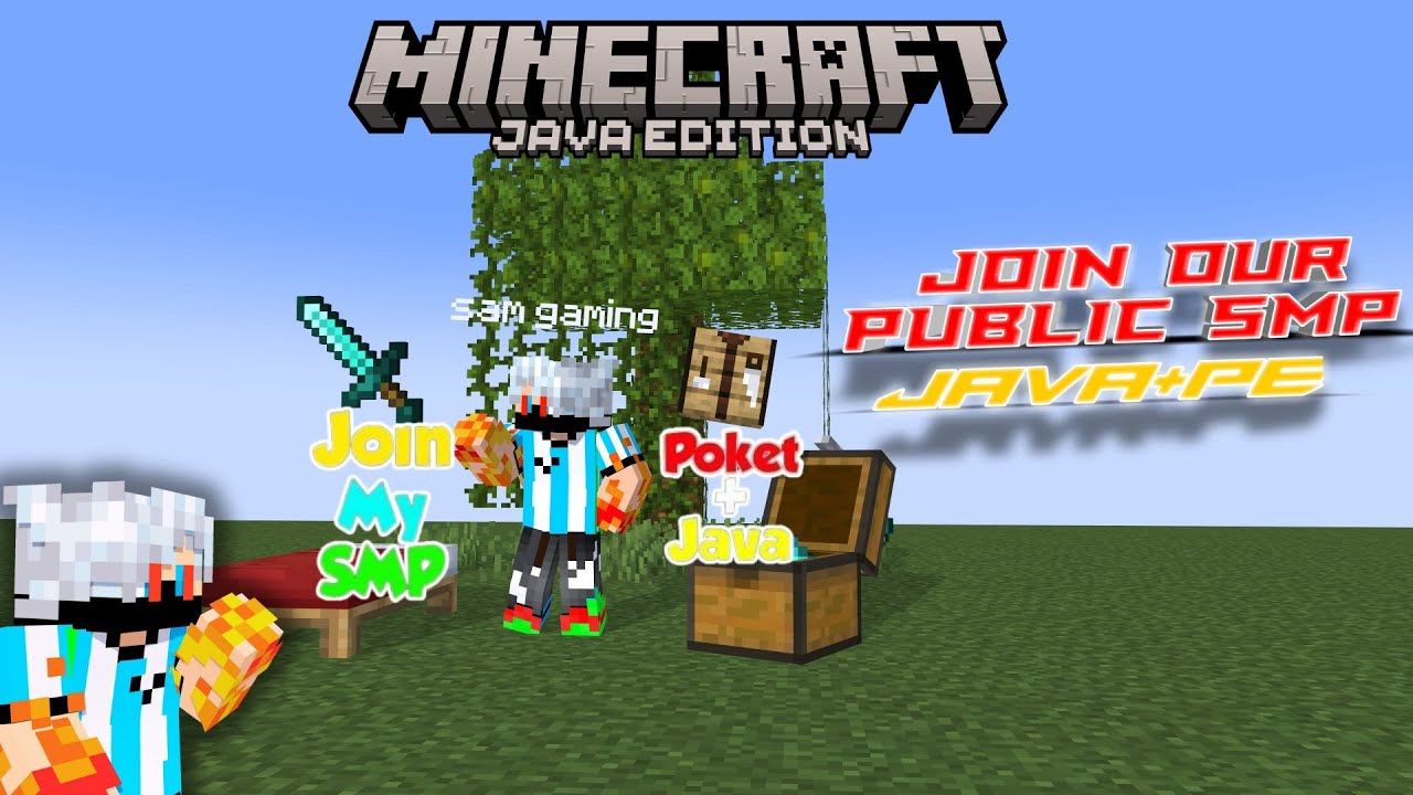 Come Join My Public Smp Java/pocket Edition 24/7 Minecraft Livestream ...