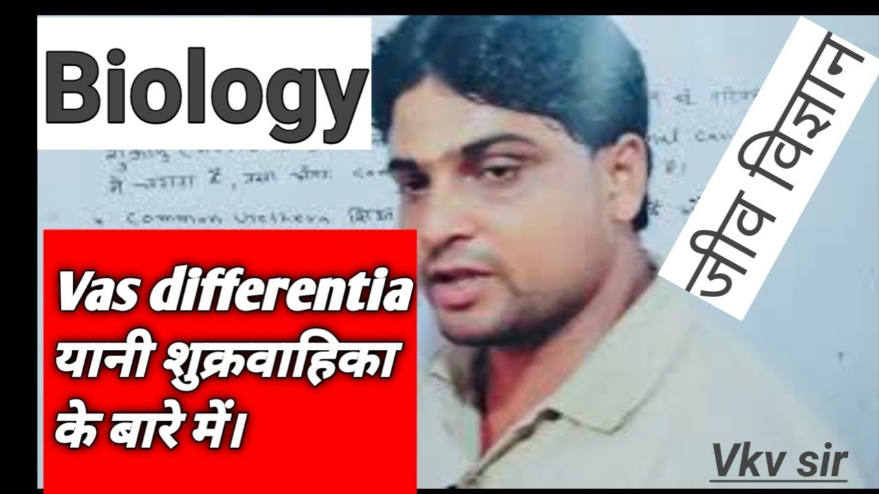 शुक्रवाहिका के बारे। जीवविज्ञान । What is Vas differentia. Biology ...