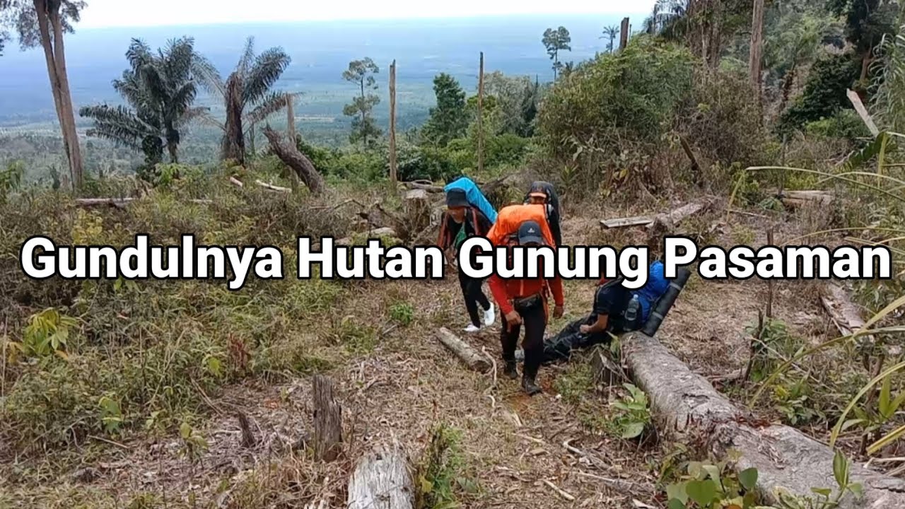 PENAMPAKAN DI GUNUNG PASAMAN - Ekspedisi Gunung Pasaman 2021 Bagian #2 ...