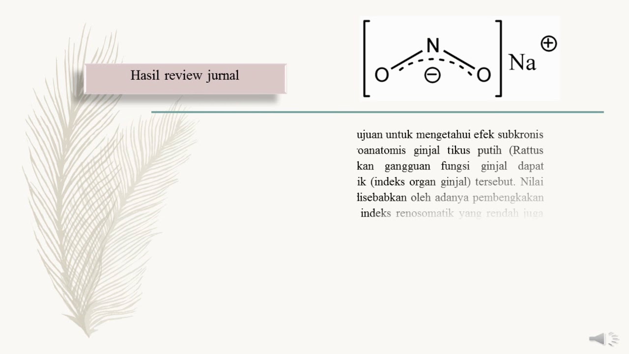 NATRIUM NITRIT - KELOMPOK 6 (EVALUASI NILAI GIZI) - YouTube
