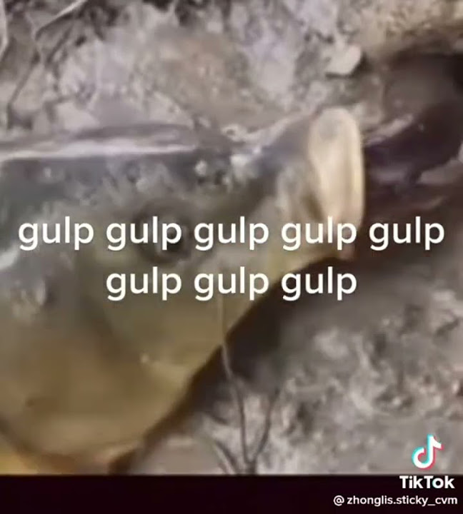 FREE GULP GULP GULP GULP. - YouTube