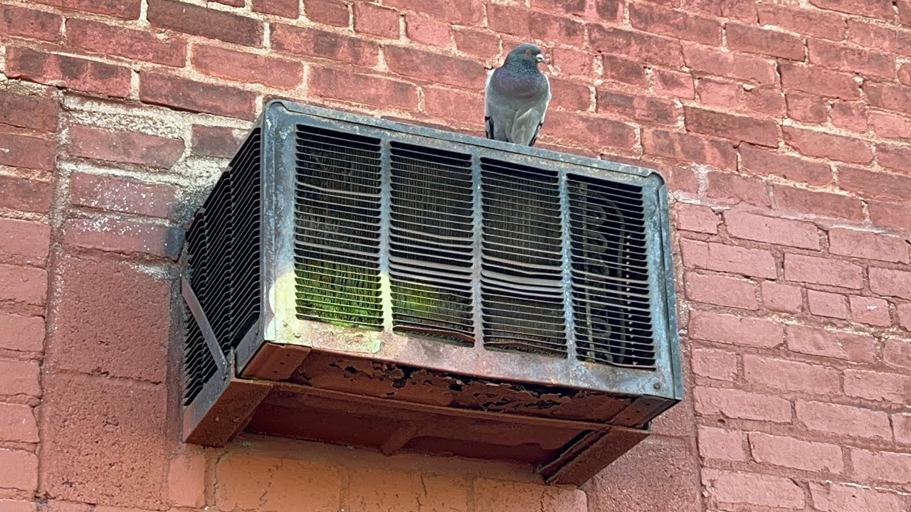 1955 Fedders Air Conditioner Rescued From THE Old Fedders Factory In ...