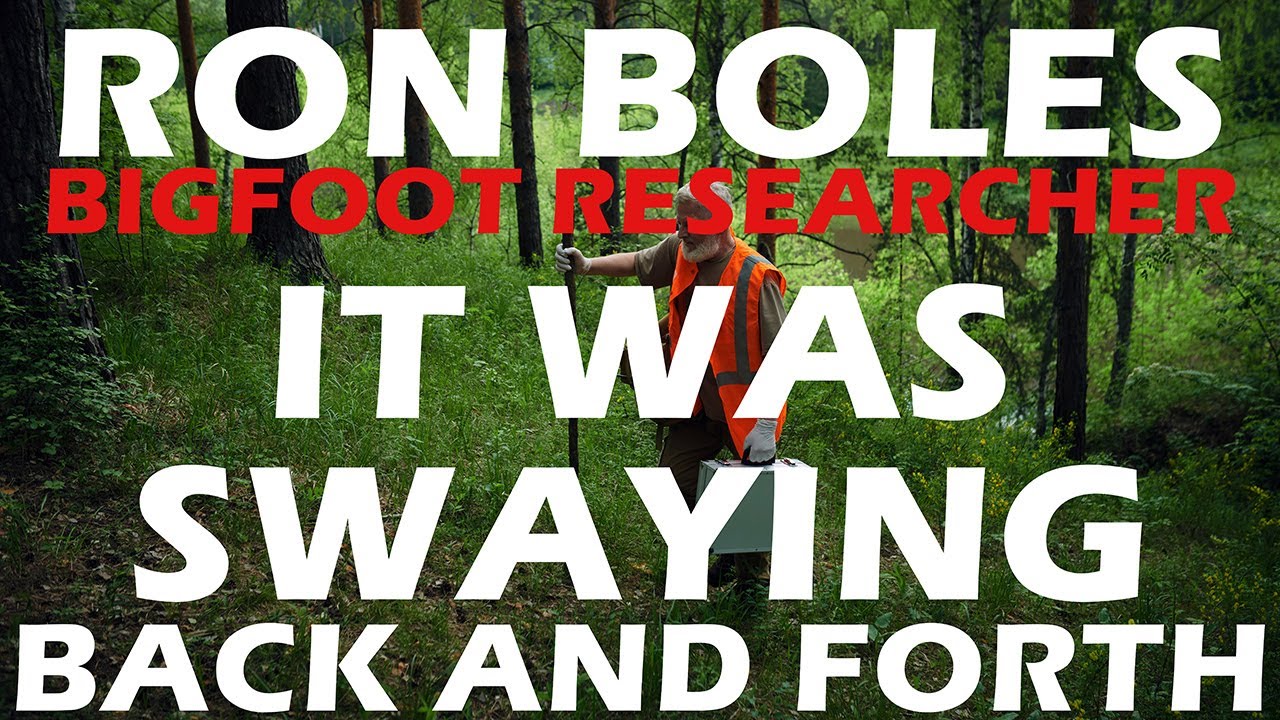 RON BOLES (BIGFOOT RESEARCHER) SHARES HIS EYE WITNESS ENCOUNTER | BFRO ...