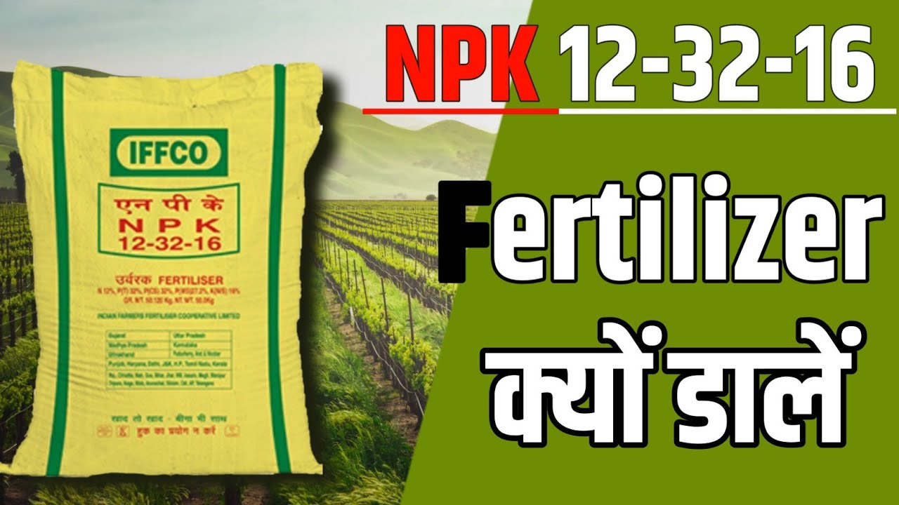 NPK 12 32 16 NPK 12 32 16 Fertilizer Iffco NPK Fertilizer