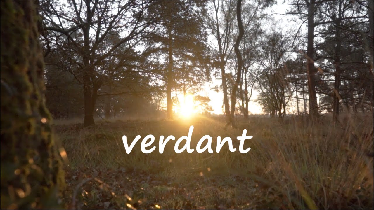 sublemonal - verdant - YouTube