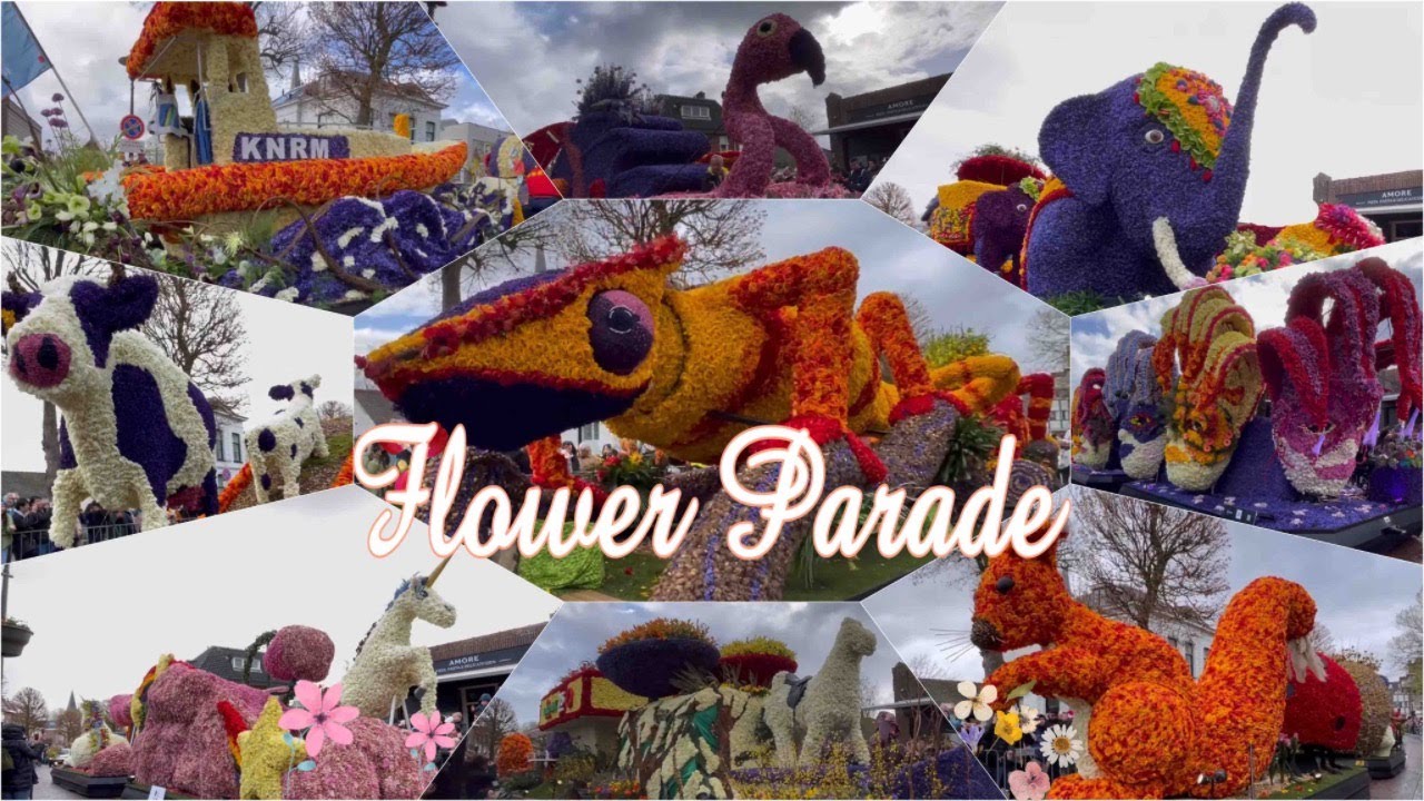 Who Wins For The Best Float - Flower Parade In The Netherlands - YouTube