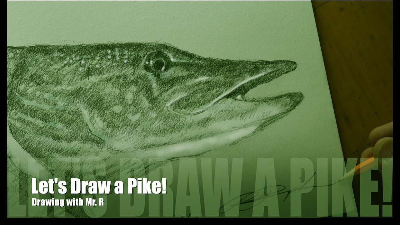 Draw a Pike | Art with Raspo - YouTube