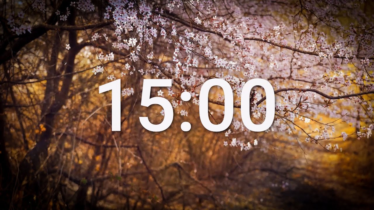 Blossom with Relaxing Music - 15 minutes countdown timer - YouTube