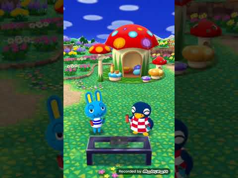 Animal Crossing Pocket Camp - Hopkins vs. Roald: A Friendly Competition ...