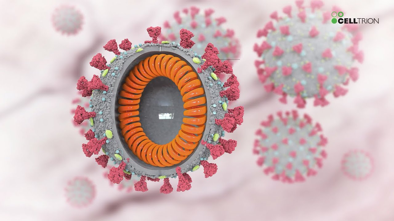 CT-P59 Action Mechanism - YouTube
