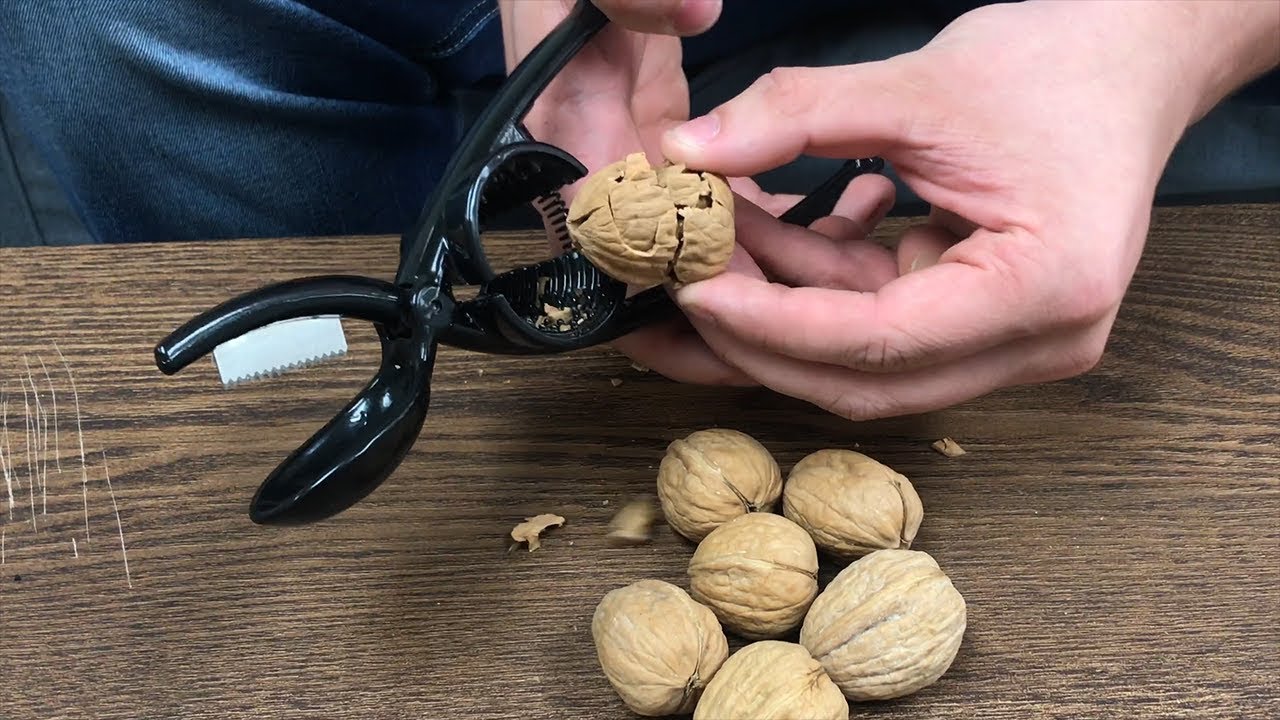 The Easiest Nut Cracker EVER To Help Bust Nuts With Ease! - YouTube