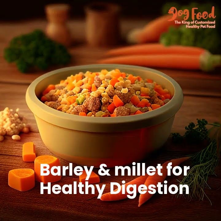 Breezy Barley Duck: The Perfect Nutritious and Hydrating Meal for Your ...