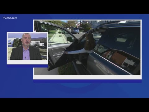 Keeping teens safe behind the wheel