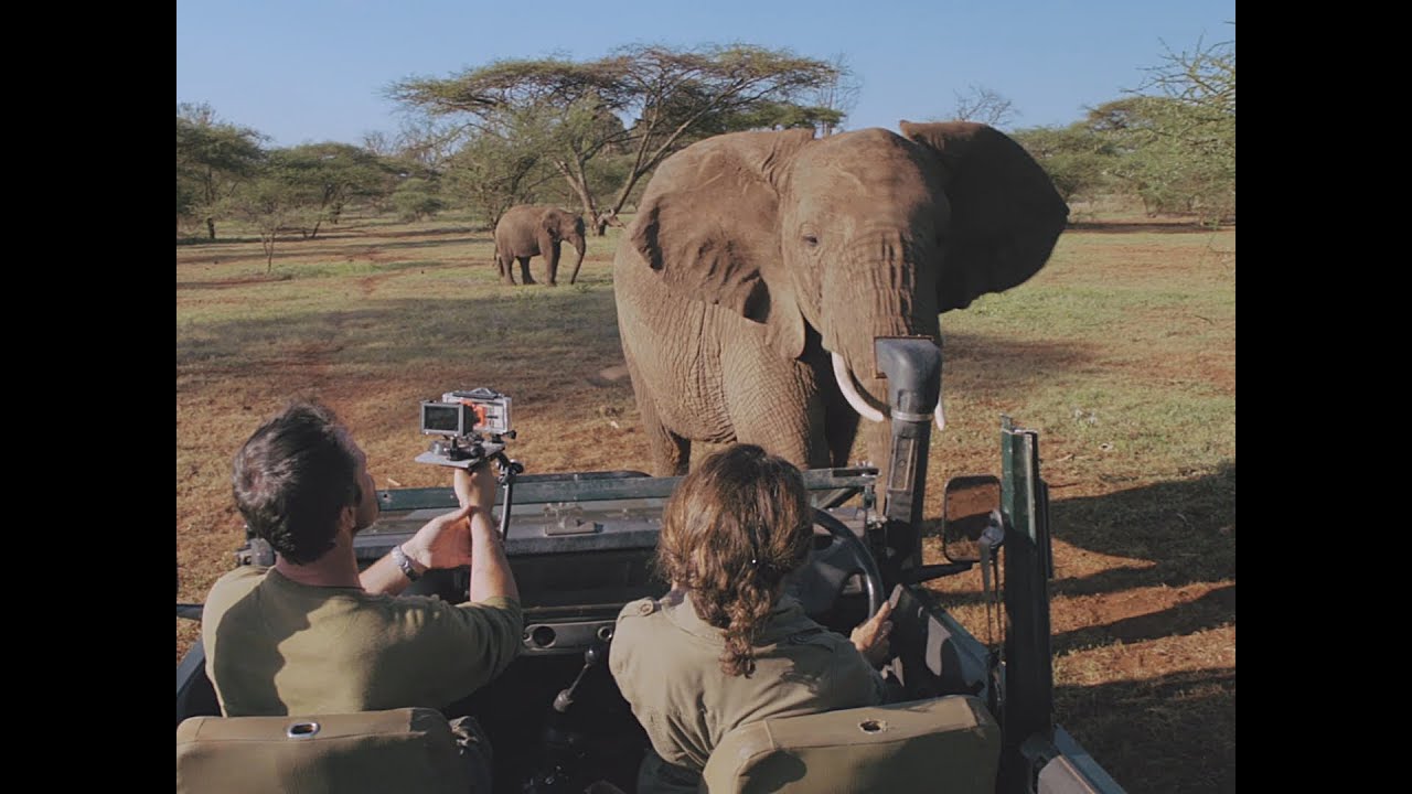 AFRICAN SAFARI 3D | Trailer german deutsch [HD] - YouTube