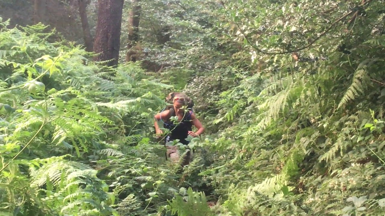 Elite outdoor Fitness-Wednesday Night training session CHEPSTOW - YouTube