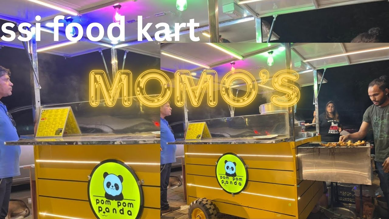 Momo's karts in low budget मोमोज बिजनेस में कितना दम है #SSI Momo's ...
