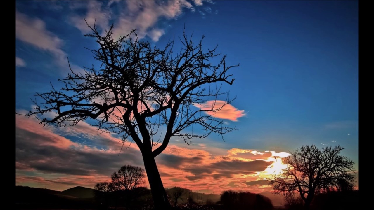Isahi - Alone in My World - YouTube