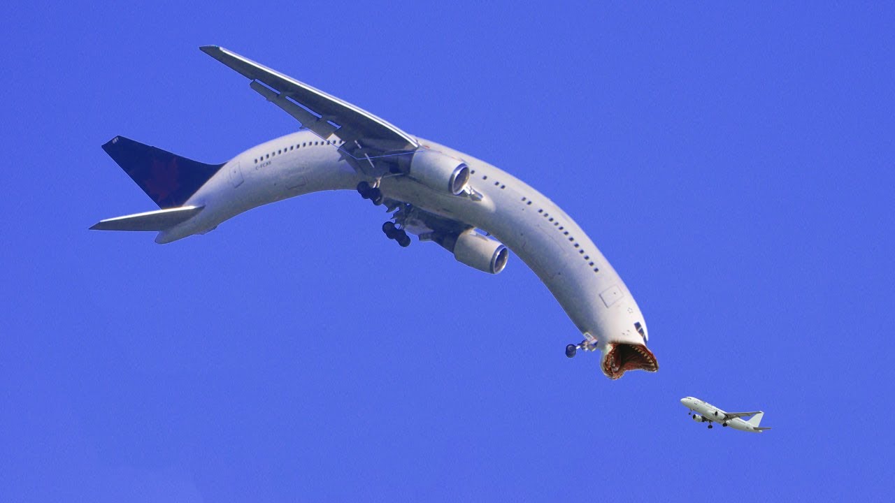 Airplane funny dancing video, plane dance 🤣🤣 #DoodlesAirplanes # ...