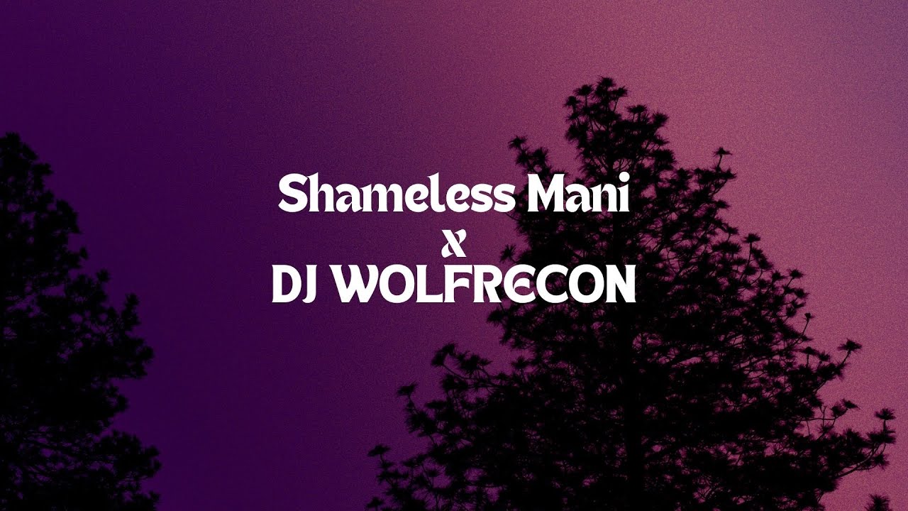 #20 Shameless Mani X DJ WOLFRECON - Party mashup - YouTube