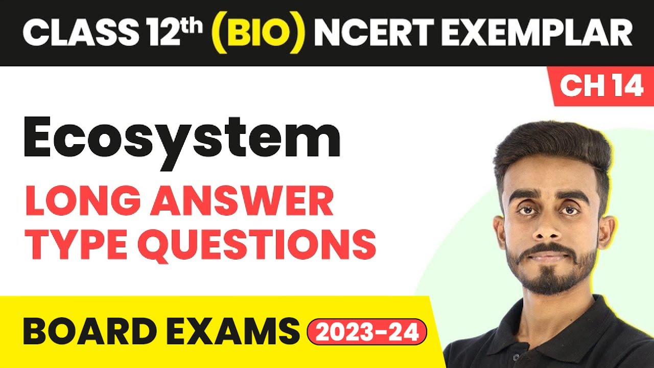 Ecosystem - Long Answer Type Questions | Class 12 Biology NCERT ...