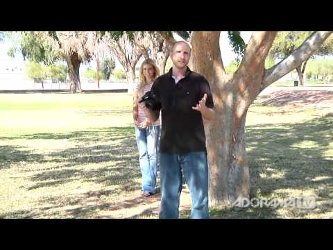 FAQ: What Is a Mirrorless Camera? - 42West