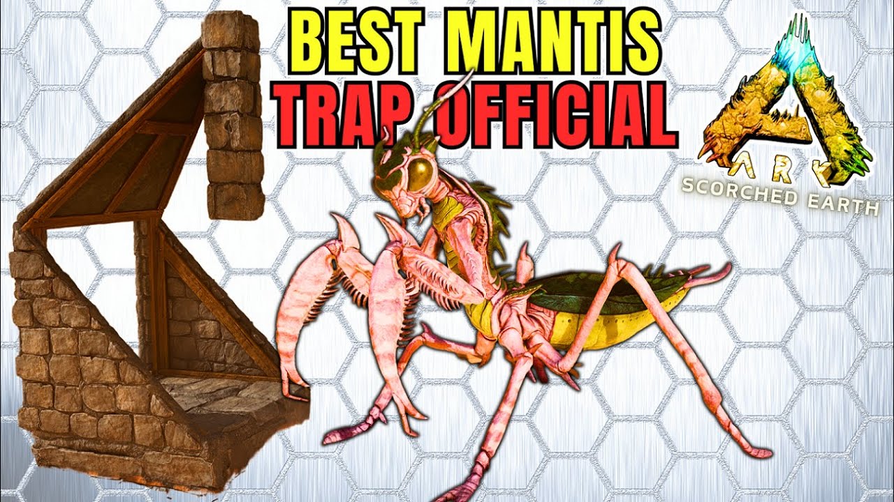 Easiest Mantis trap Ever - Even for Official - YouTube