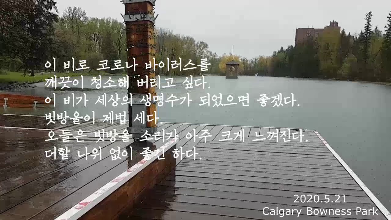 [sunny와 rane의 캘거리 이민 생활] 어느 비오는 날에, One rainy day, sunny cooking, 쿠킹 ...