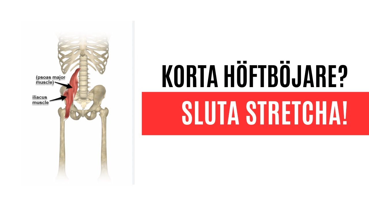 Korta höftböjare och ryggvärk - Det du måste veta! | Ryggövningar ...